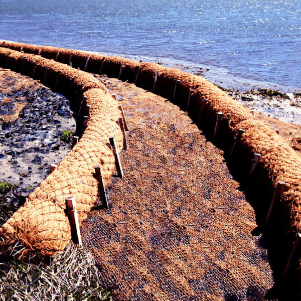 Coir & Jute Biodegradable Geotextiles/Blankets | GSI